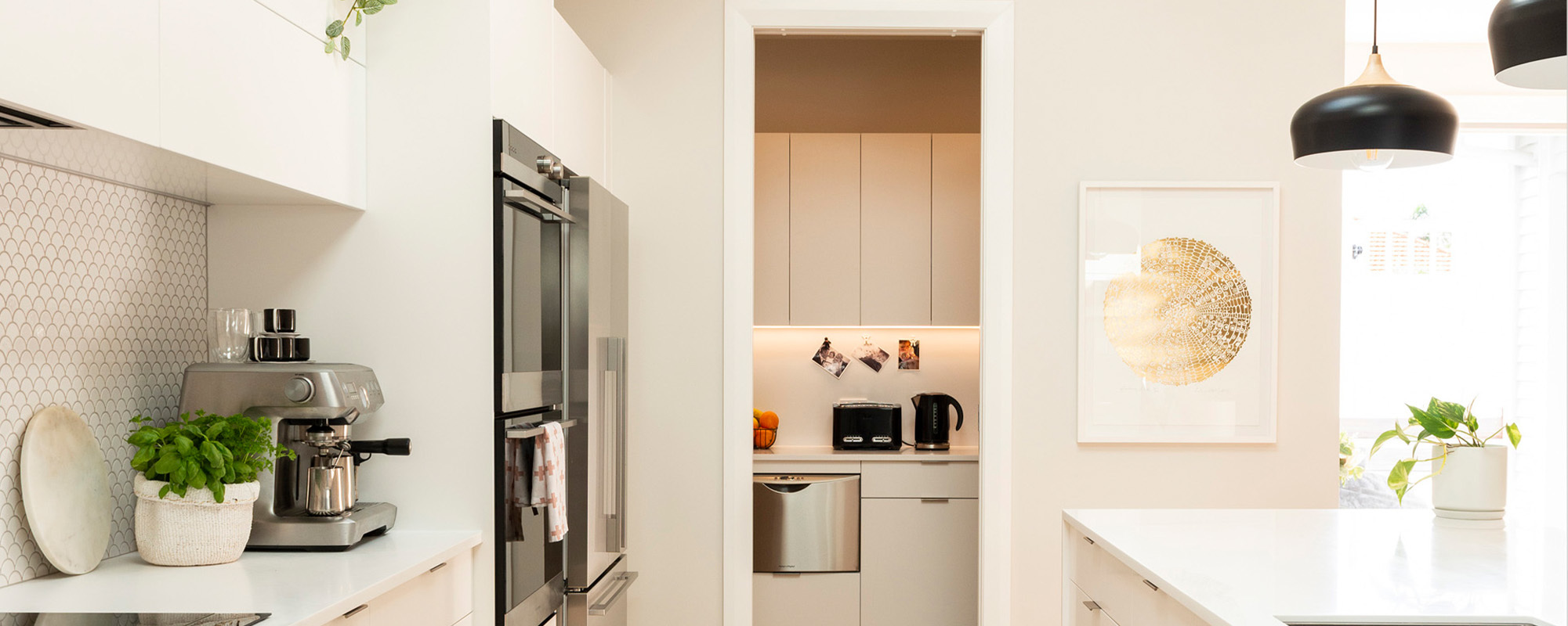 Auckland Commercial & Residential Interior Design Architects